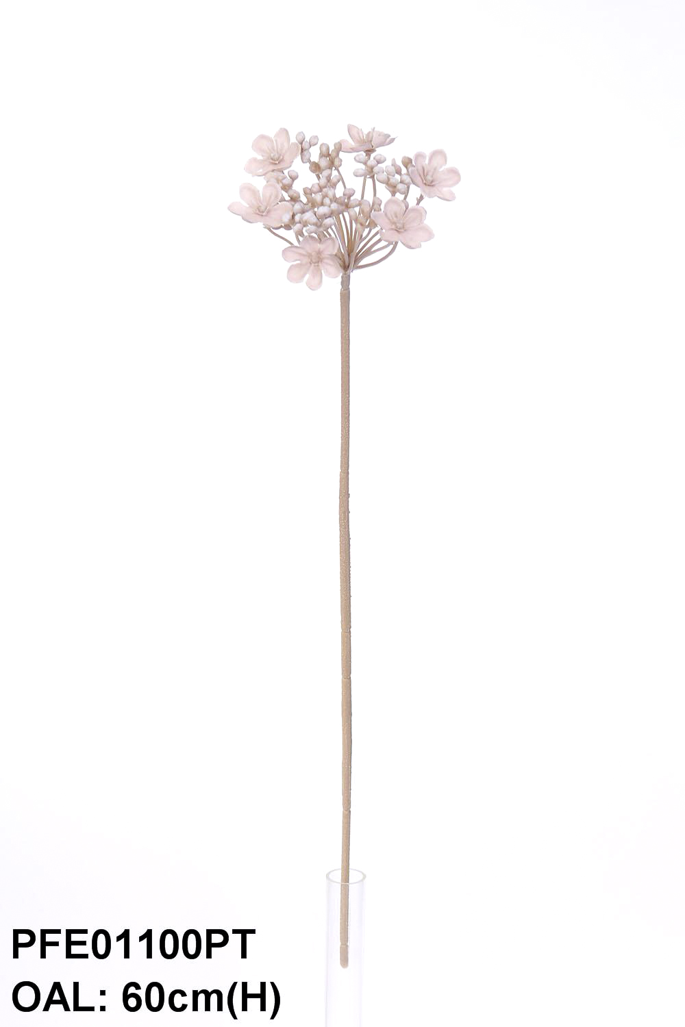 pfe01100pt-ma-01 – Europe Flower