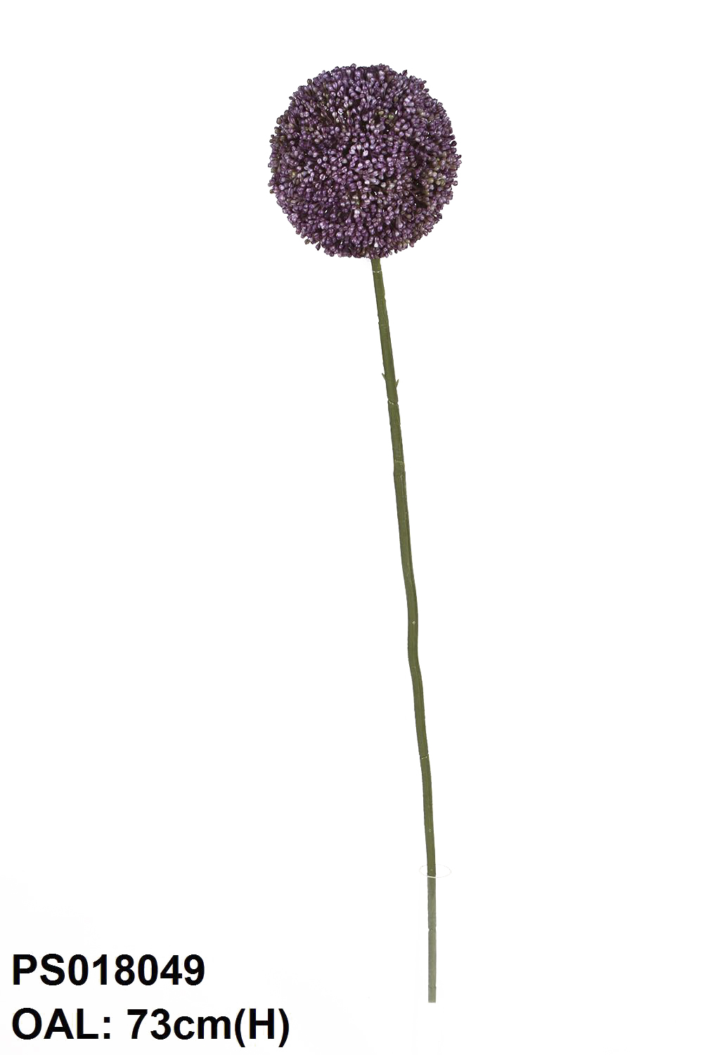 ps018049-lav-01 – Europe Flower