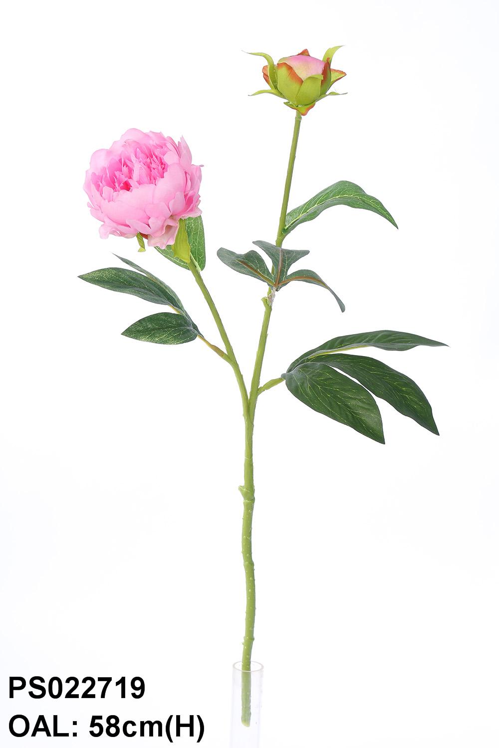 ps022719-pk-01 – Europe Flower