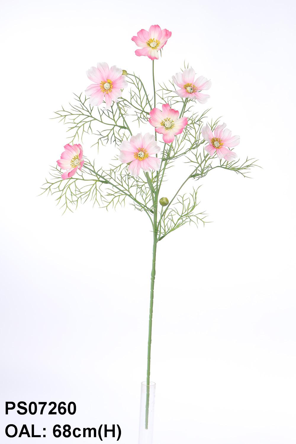 ps07260-pk-01 – Europe Flower