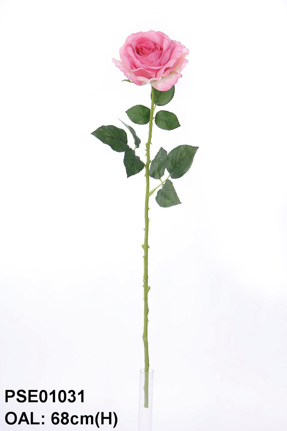 pse01031-pk-01 – Europe Flower