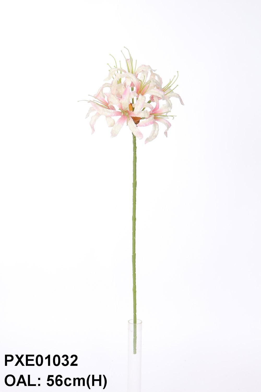 pxe01032-pk-01 – Europe Flower